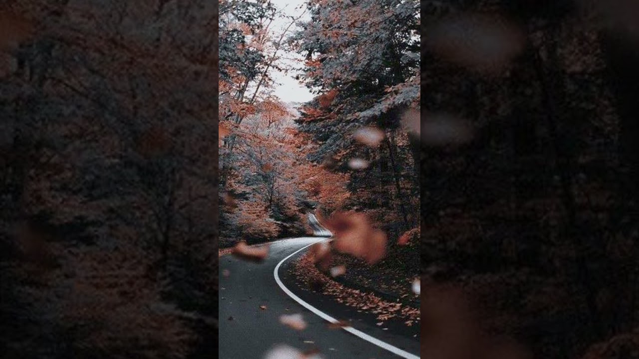 #background #wallpaper #photo #phone #viral #fyp #brown
