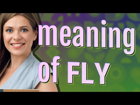 Fly | meaning of Fly