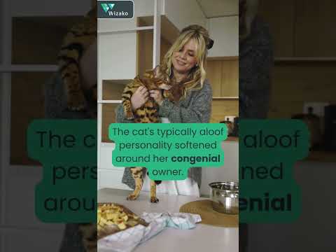 Learn GRE Words with Pets | CONGENIAL #grevocab #grevocabulary