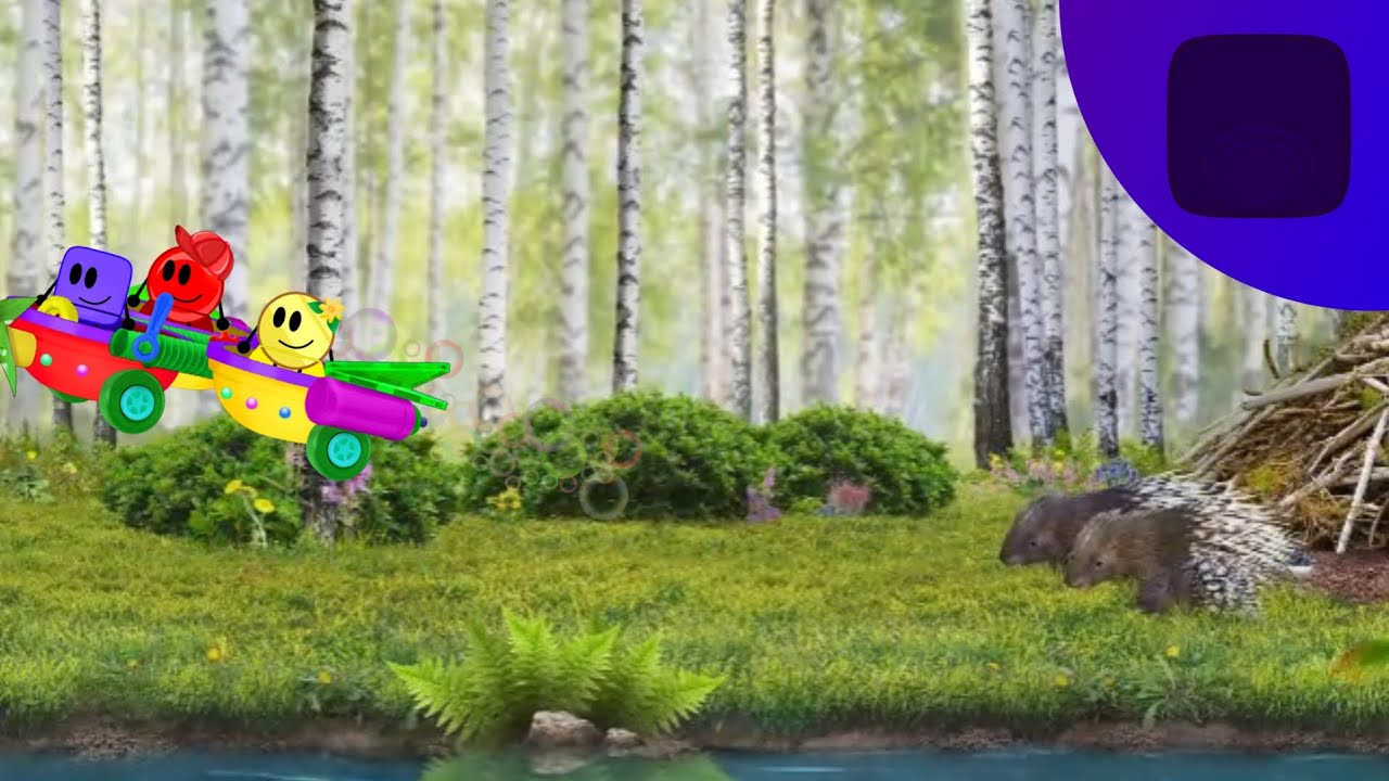Wonder Feachers: ITC Save the Porcupine 🦔🌳 [Ending Theme]
