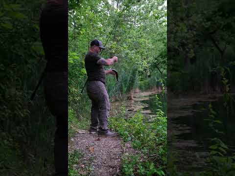 Pickerel on the Fluke #fishing #freshwaterfish #pondfishing