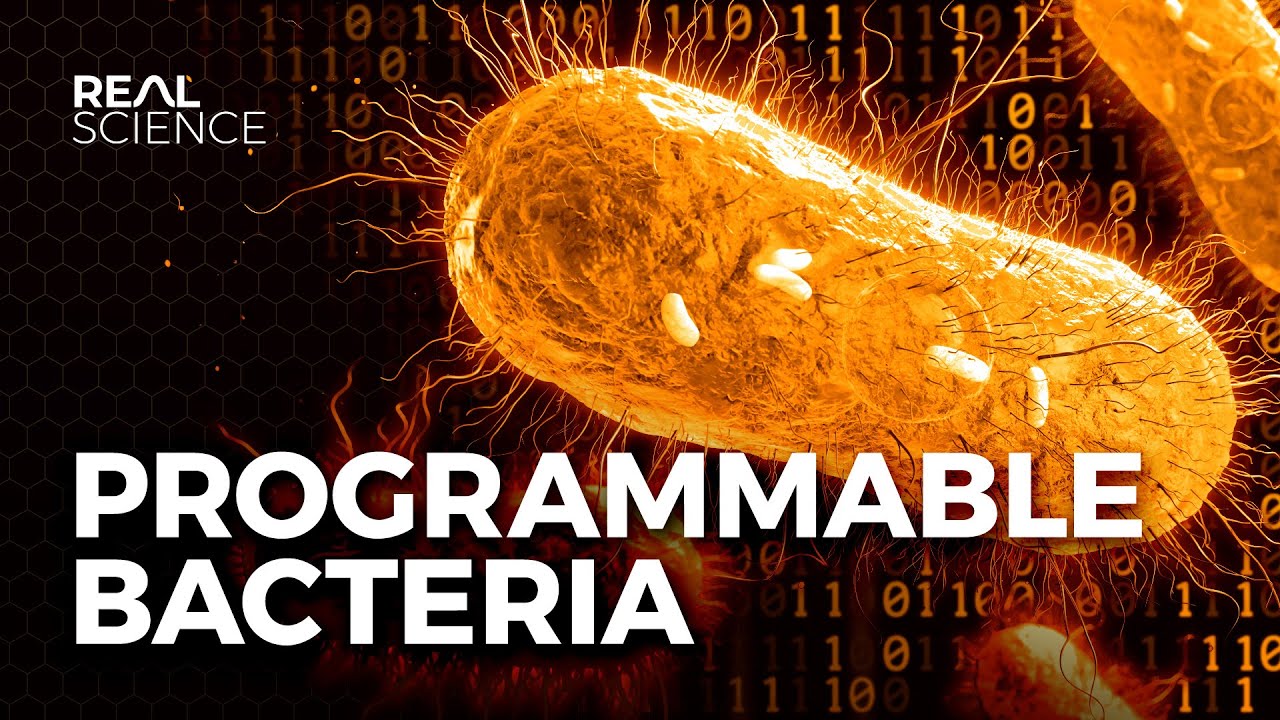 Programmable Bacteria: Nature's Most Powerful Tool