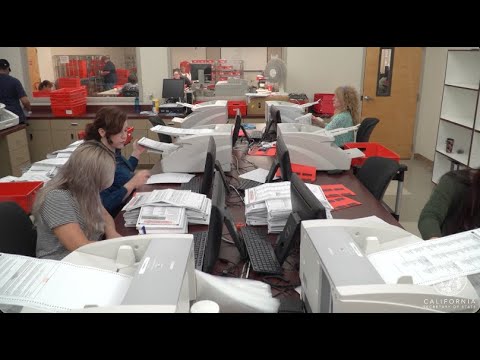 November 2024 General Election: Counting the Vote