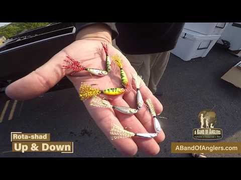 A Band Of Anglers - "Rota-Shad" by Up and Down