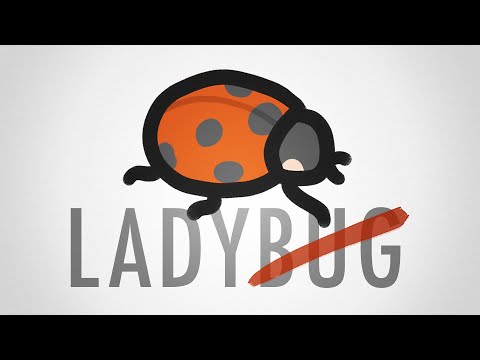 This Is Not A Bug