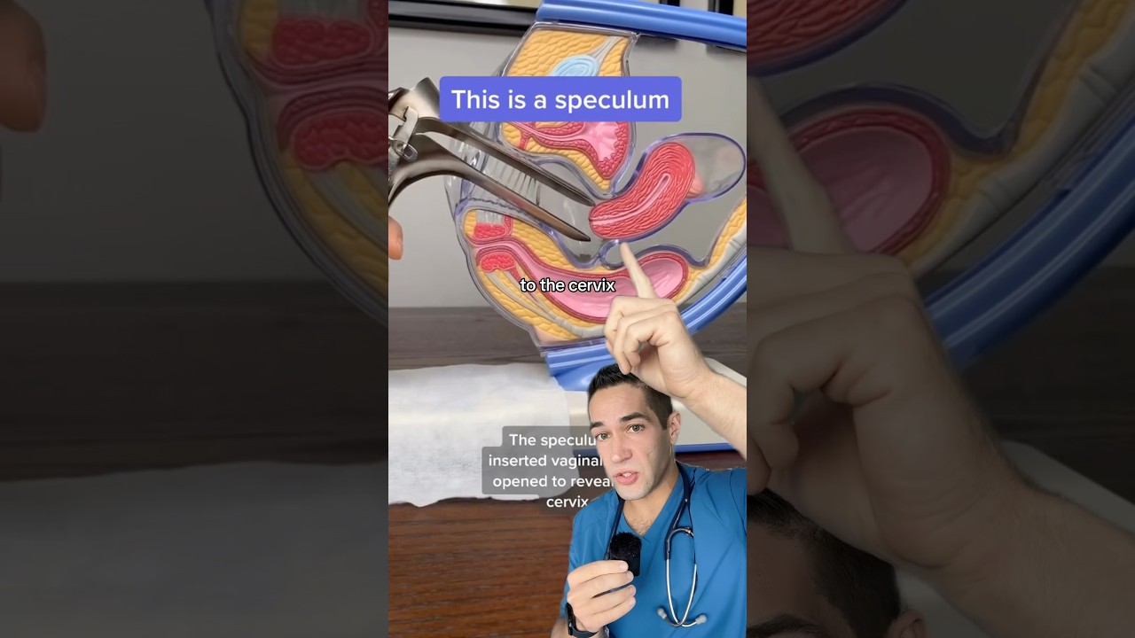 THIS is how a speculum works