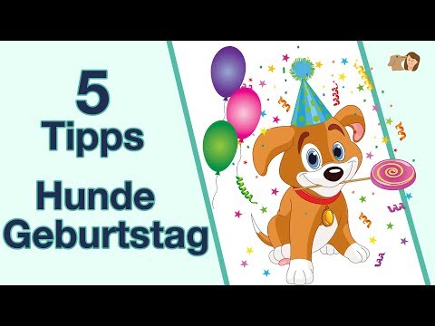 5 Tipps für den perfekten Hundegeburtstag