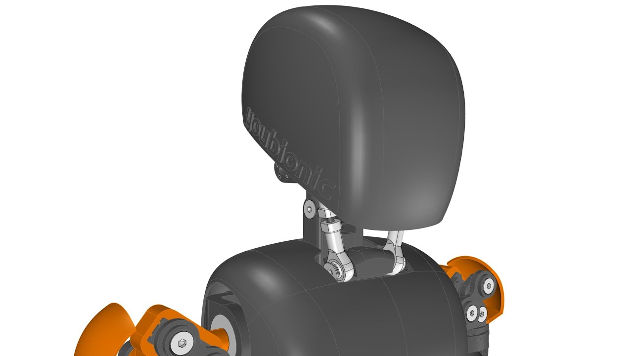 Inside the Head - Youbionic Half