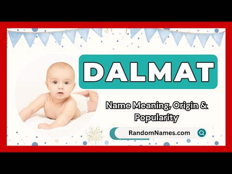 Dalmat - Baby Boy Name Meaning, Origin & Popularity - RandomNames.com