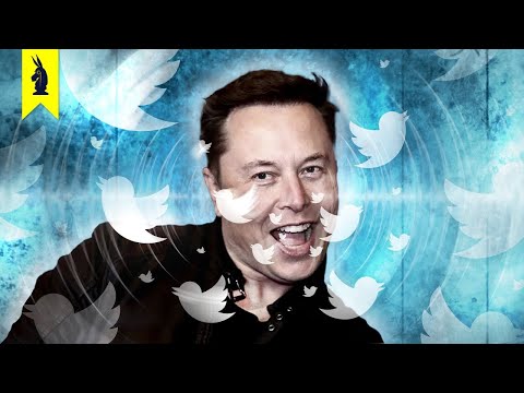 Elon Musk and Twitter: What Does it Mean?