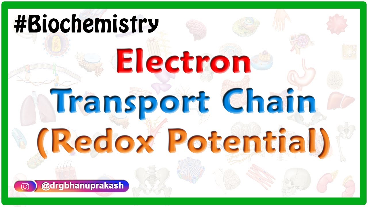 REDOX POTENTIAL OF COMMON REDOX COUPLES - #Usmle Electron Transport Chain