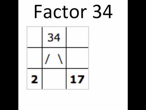 Factor A 34