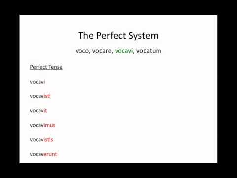 Latin 1 - Pluperfect and Future Perfect.mp4