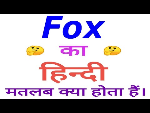 Fox meaning in hindi | Fox in hindi | Fox in hindi meaning