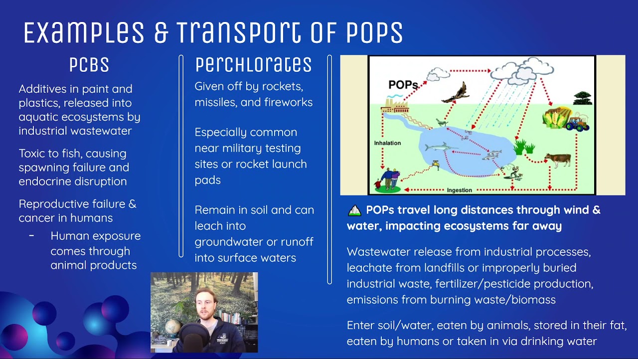 Understanding Persistent Organic Pollutants (POPs) and Their ...