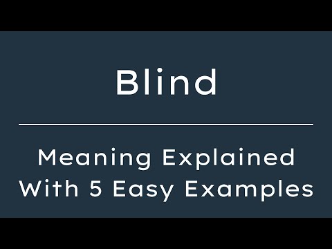 What Does Blind Mean? Blind Meaning in English With 5 Example Sentences