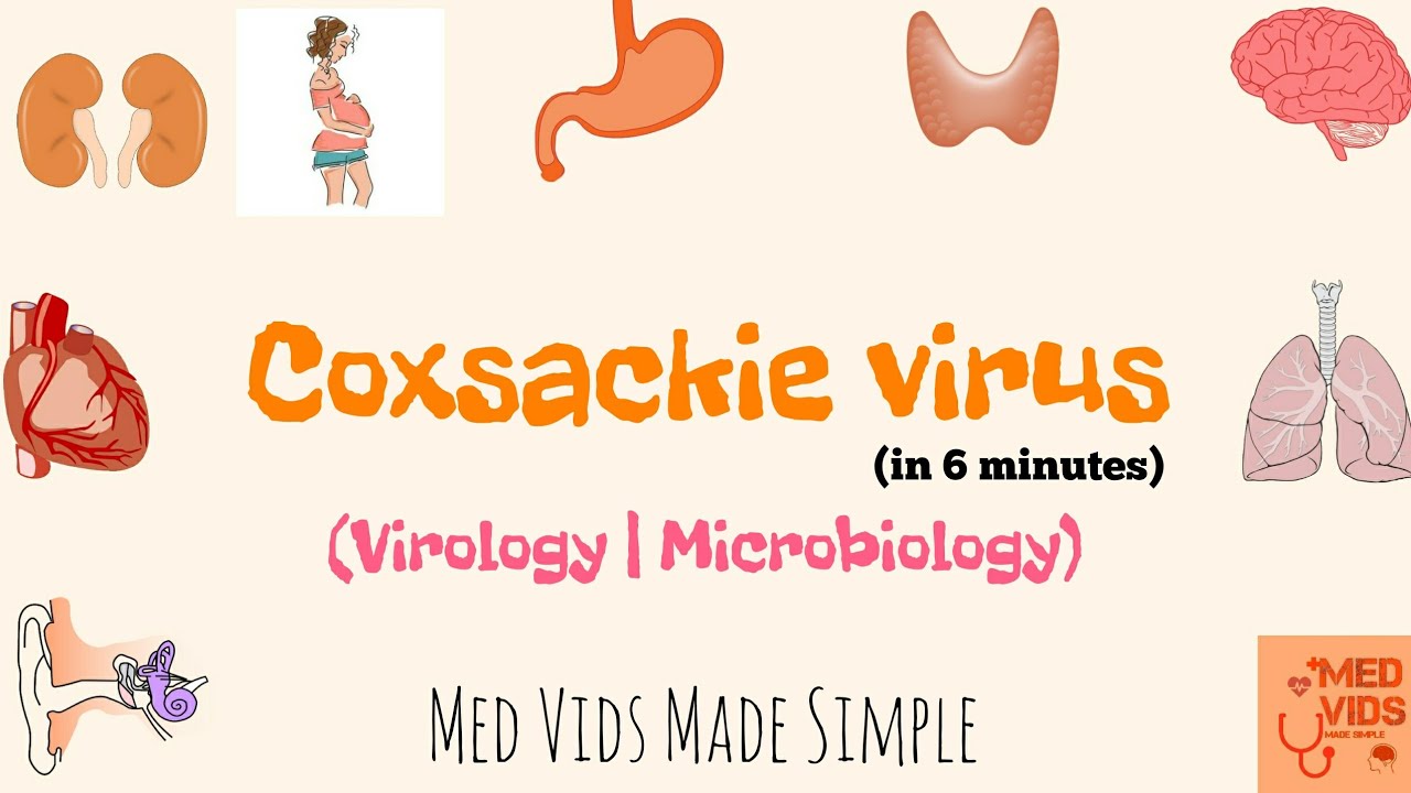 Coxsackievirus | Microbiology | Med Vids Made Simple