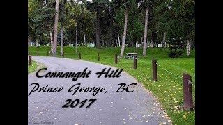 3 Best Public Parks in Prince George, BC - Expert Recommendations
