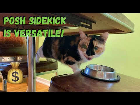 Using Posh Sidekick Tools for eBay Listings? Versatile Background Remover