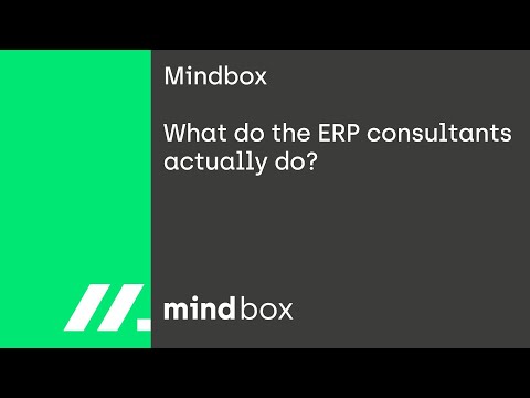 What do the ERP consultants actually do?