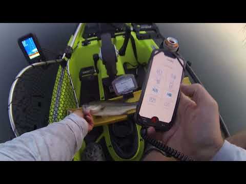 How To Measure And Submit Fish To Tourney X