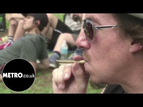 Where did 420 come from | The origin and history of 420 | Metro.co.uk