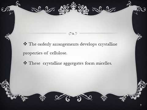 Lecture No. 19 (Chemical Composition Of Cell Wall)