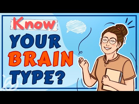 Discover Your Brain Type with this Engaging Quiz