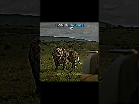 Lion vs Tiger 💀🔥 #shorts #lion #liontiger #lionvstiger #shortsfeed #trending #wildlife #animals