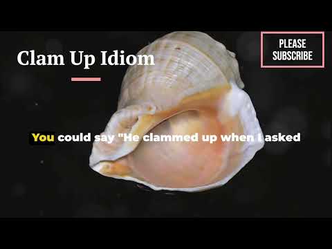 Clam Up Idiom | The Idioms Dictionary