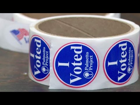 A look at South Carolina primary election results