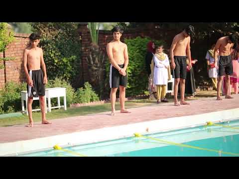 October Festival Swimming Gala 2022
