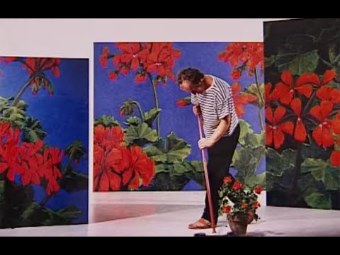 Film documentaire sur l'artiste contemporain français Charles BELLE | "Blancs soucis", Pierre Guy