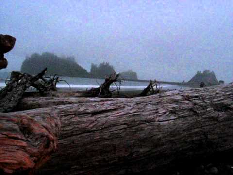 First Beach, La Push, WA
