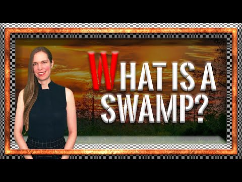What Is A Swamp? 5 Things You Need To Know