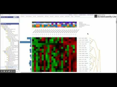 SmartR - Introduction