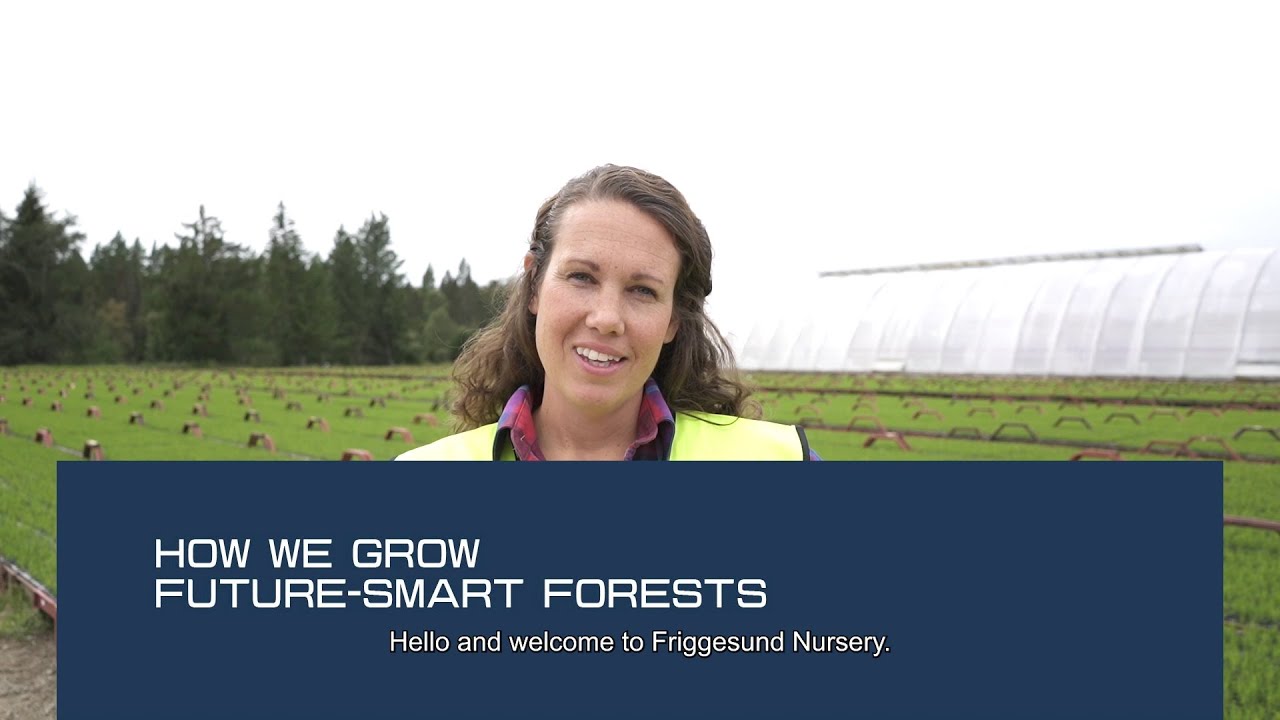 How we grow future-smart forests