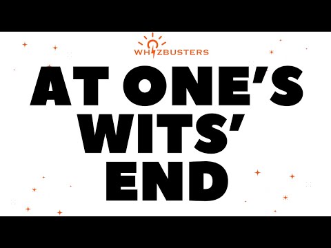 AT ONE'S WITS' END Meaning with Examples in Sentences