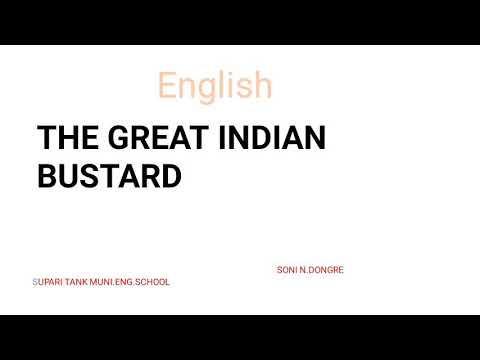 English std 6th The great Indian bustard