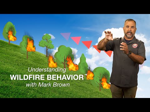 Understanding Wildfire Behavior with Mark Brown