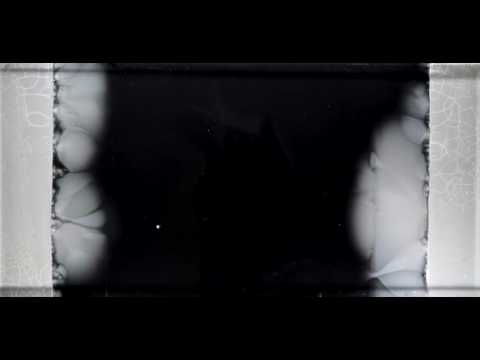 The Evolution of Bacteria on a “Mega-Plate” Petri Dish (Kishony Lab)``