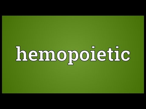 Hemopoietic Meaning