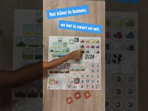 Een panda is toch helemaal niet groot! #dedondersteen #shorts #spel #spellen #bordspellen
