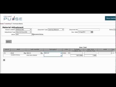 Inventory-Material Adjustment-Items Tab-English