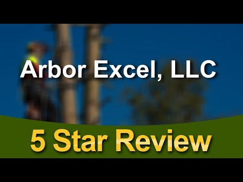 Arbor Excel, LLC Reviews - 5 Stars for Tree Care in Talbott, TN
