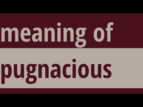 Pugnacious Meaning | Meaning Of Pugnacious | Pugnacious Definition | #shorts #words #WordHeavy