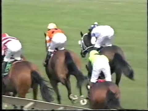 Sandown 8 Races Sun 26 Sept 1999