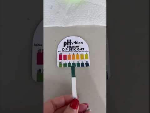 pH Paper Test of Floor Cleaner 🫧| Acids and Bases | pH Scale | pH of Cleaner | pH Paper Lab