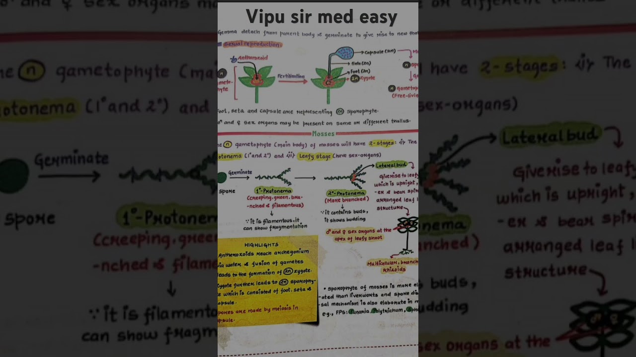 For medeasy pdf tg link in description t.me/Allmedesaypdfhere