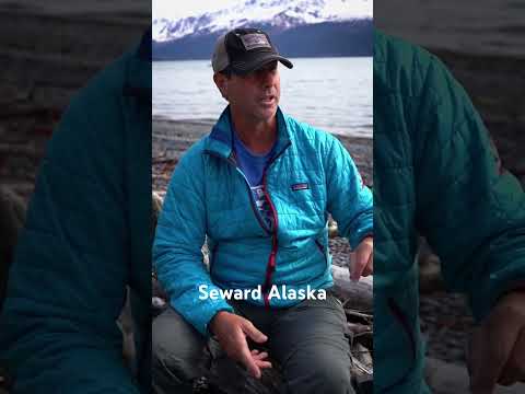 Seward Alaska - Earthquake and bush flying #aviation #shorts #earthquake